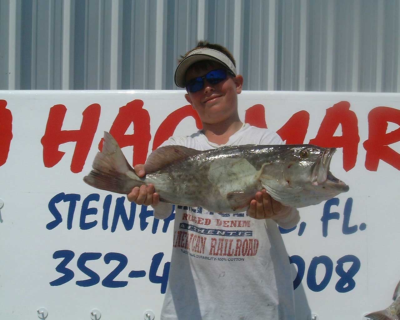 This Week's Steinhatchee Fishing Report provided by the Sea Hag Marina